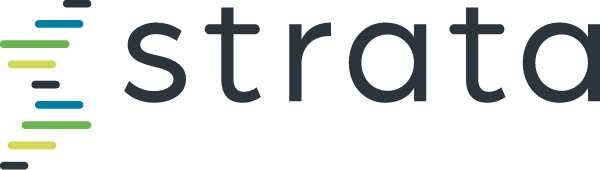 Leveraging Analytics for More Data-Driven, Strategic Decisions in ...